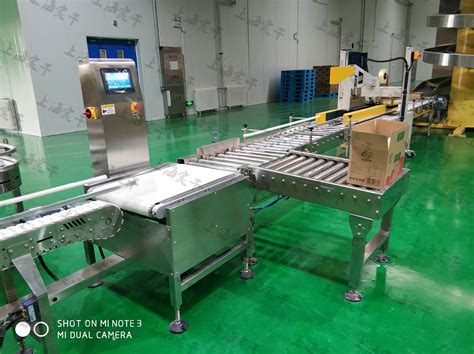 Dynamic Weighting Sorting Conveyor Belt Scale Check Weigher And