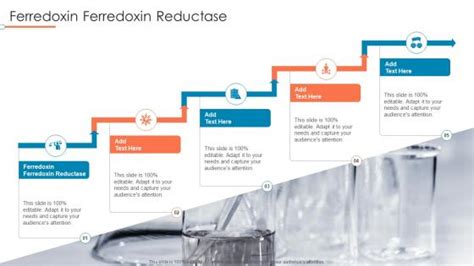 Ferredoxin Ferredoxin Reductase PowerPoint Presentation And Slides PPT Template SlideTeam