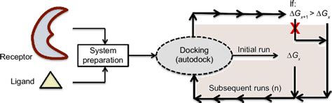 A Schematic Representation For Loop Docking Protocol Download