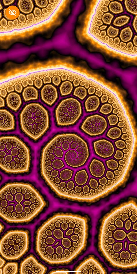 Mandelbrowser For Android Download