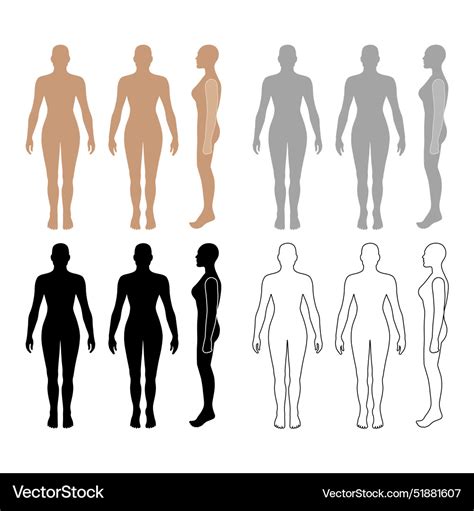 Naked Standing Woman Bald Silhouette Royalty Free Vector