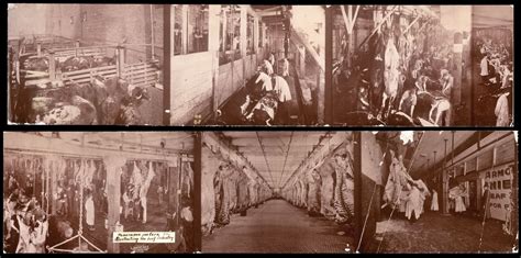 Direct Primary Progressive Era