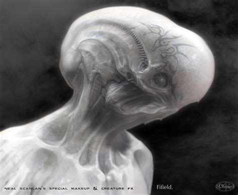 The Fifield Monster ~ Alienex Plorations