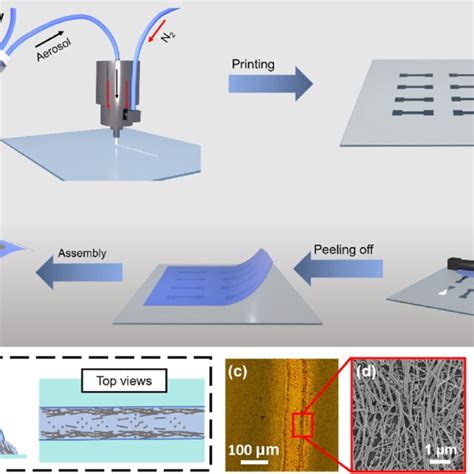 Aibing Yu Monash University Australia Melbourne Department Of Chemical Engineering