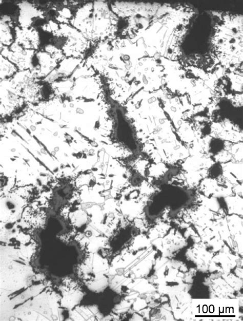 Microstructure After Creep Loading 1000 °c 104 Mpa 3318 H Melt
