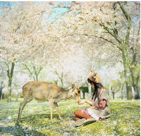 Web性能优化的常用手段 知乎