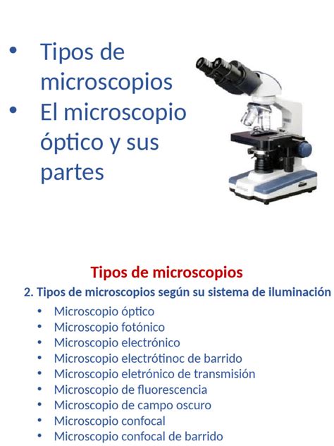 Tipos De Microscopio Óptico Y Sus Partes Pdf
