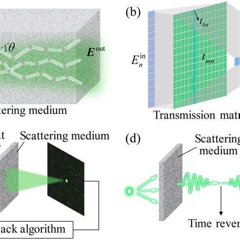 Principles Of Wfs A Propagation Of Light In A Scattering Medium B Download Scientific