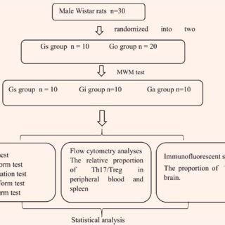 The Flow Chart Of Research Download Scientific Diagram