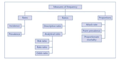 Stats Lecture 6 And 8 Quiz Flashcards Quizlet