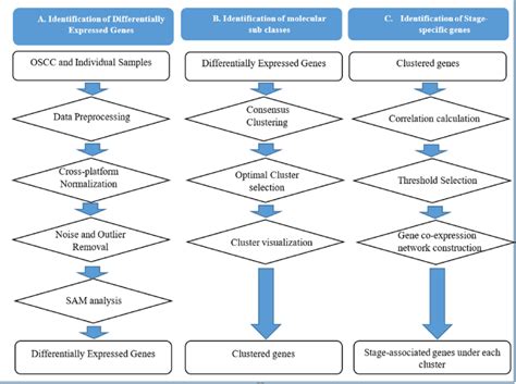 Schematic Representation Of The Applied Methodology Download