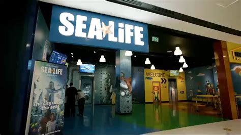 Srinivas Siripella On Linkedin Object Detection Using Yolo Aimer Society Artificial Intelligence…