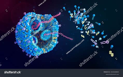 Lipid Nanoparticle Structure 3d Digital Illustration Stock Illustration 2542638663 Shutterstock