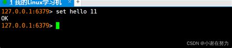 【redis】redix在linux下的环境配置和redis的全局命令 Csdn博客
