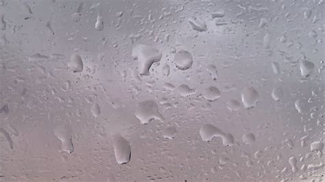 Jaron Artolius Eckbert Iii On Tumblr