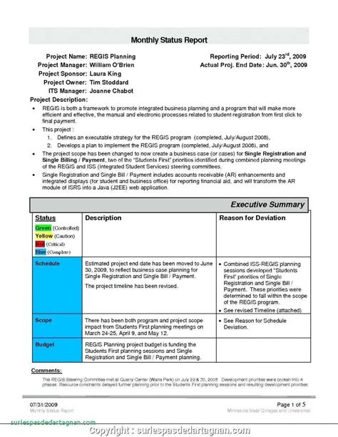 Monthly Executive Report Template Diadeveloper Regarding Executive Summary Project Status
