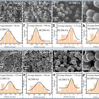 SEM Images And Particle Size Distributions Of The In Situ HCs And ACs Download Scientific