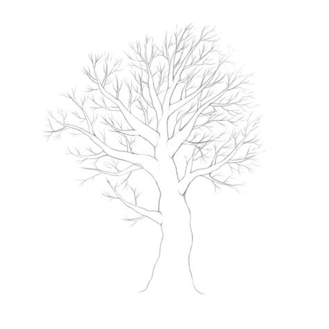 How To Draw A Tree