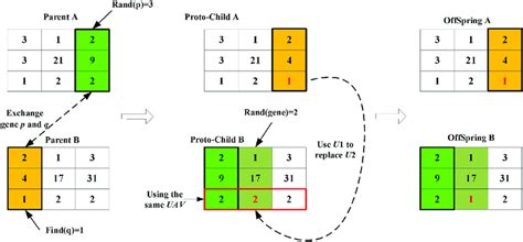 Shows The Procedure Of Selecting The Third Gene In Chromosome P For The Download Scientific