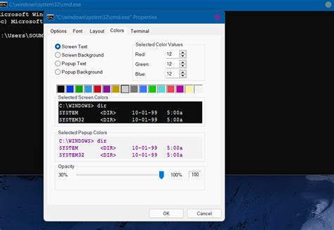 How To Change The Text Color In Windows Command Prompt