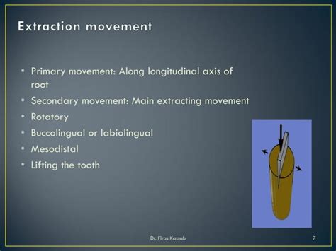 Principles Of Simple Extractions 3 PPT