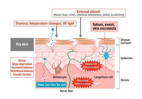 Revealing The Deepest Secrets Of The Skin Well Being Nikon