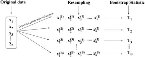 Graphical Illustration Of Bootstrapping Li 2004 Download Scientific Diagram
