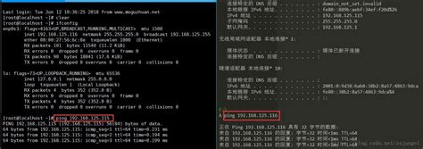 Win10系统中virtualbox网络桥接与主机直链同一wifi局域网互通并可连接外网安装virtualbox后wifiwin10 Csdn博客