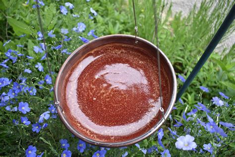 Hanging Bird Bath Tree Bird Bath Ceramic Bird Bath Etsy