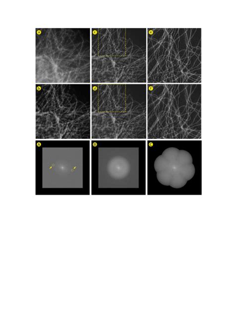 structured illumination microscopy image reconstruction algorithm deepai
