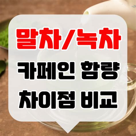 말차와 녹차 차이 및 효능 하루 권장량과 카페인 함량 체크 보관법까지 알고 드세요 네이버 블로그