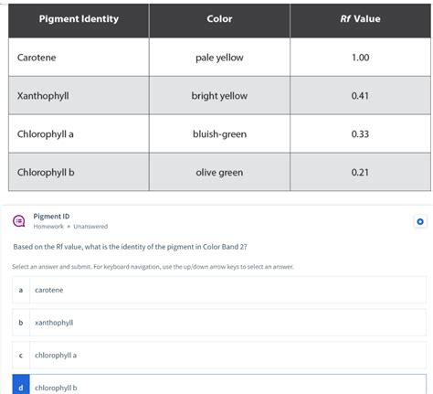 Solved Pigment Identity Color Rf Value Carotene Pale Yellow
