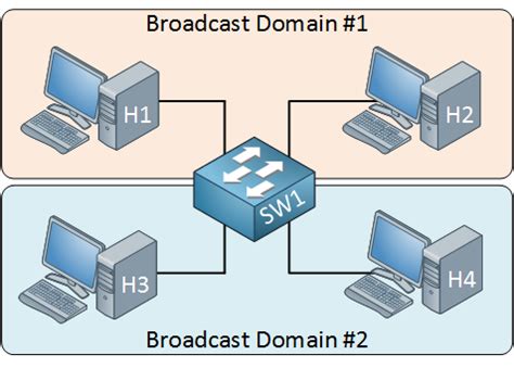 Domain Network