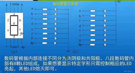 清翔零基础教你学51单片机个人学习笔记5数码管静态和动态显示清翔电子51数码管 Csdn博客