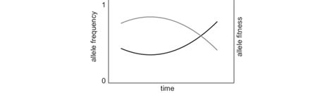 Illustration Of Negative Frequency Dependent Selection Leading To