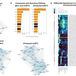 PDF ScGPT Towards Building A Foundation Model For Single Cell Multi Omics Using Generative AI