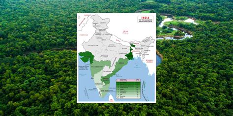 Knowledge Grow Billion Trees