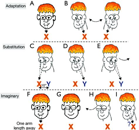 Exercises For Promoting Gaze Stability Adaption A To Test The