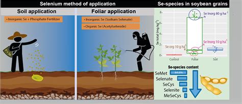 Selenium Speciation In Se Enriched Soybean Grains From Biofortified Plants Grown Under Different