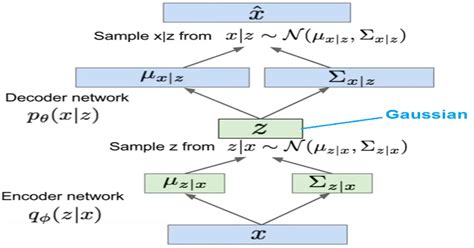 D Vae Why We Do Not Sample Again After Decoding And Before