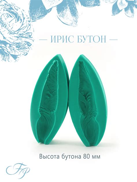 Ирис бутон купить по выгодной цене Flowerportrait