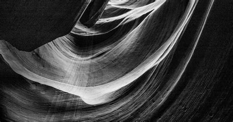 Learn How To Auto Mock Requests With Openapi For Ui Tests