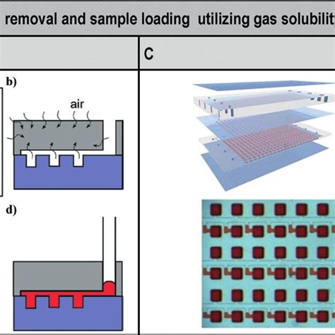 Summary Of Solubility Diffusivity And Permeability Parameters In Pdms Download Table