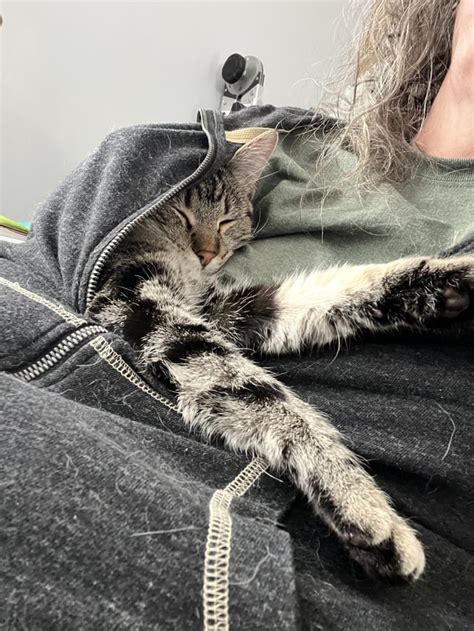 i made a huge tactical error in zipping shorty up in my jacket i ve