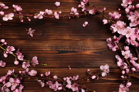 Flor Do P Ssego No Fundo De Madeira Velho Flores Do Fruto Foto De Stock Imagem De Aroma Placa