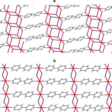 A Fragment Of The Two Dimensional Coordination Polymer Of A