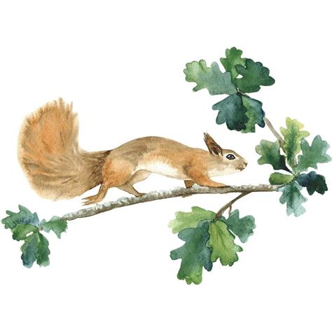 Карикатура Горска катерица Стикер за стена Творчески тапет Събиране на