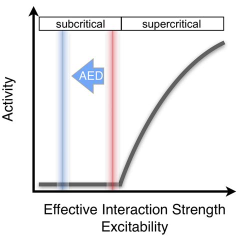 Growing Evidence Suggests That Activity Propagation In Cortical Download Scientific Diagram