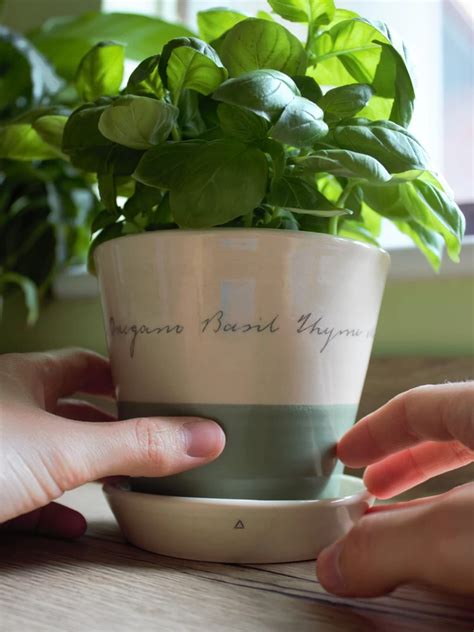 Herb Planter Holly And Co