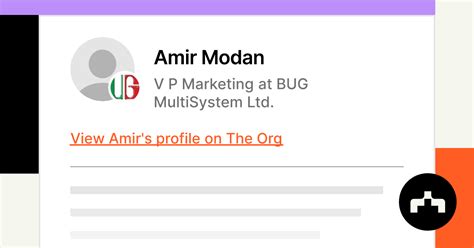 Amir Modan V P Marketing At Bug Multisystem Ltd The Org